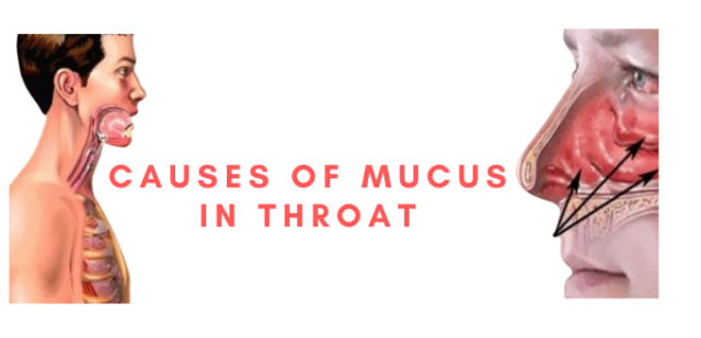 Causes of Mucus in Throat - wikiJunkie