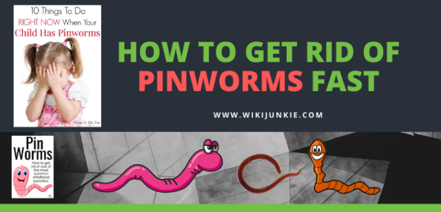 8 Fast Ways How to GET RID of Pinworms Fast - wikiJunkie