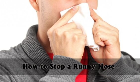 How to Stop a Runny Nose Naturally - wikiJunkie